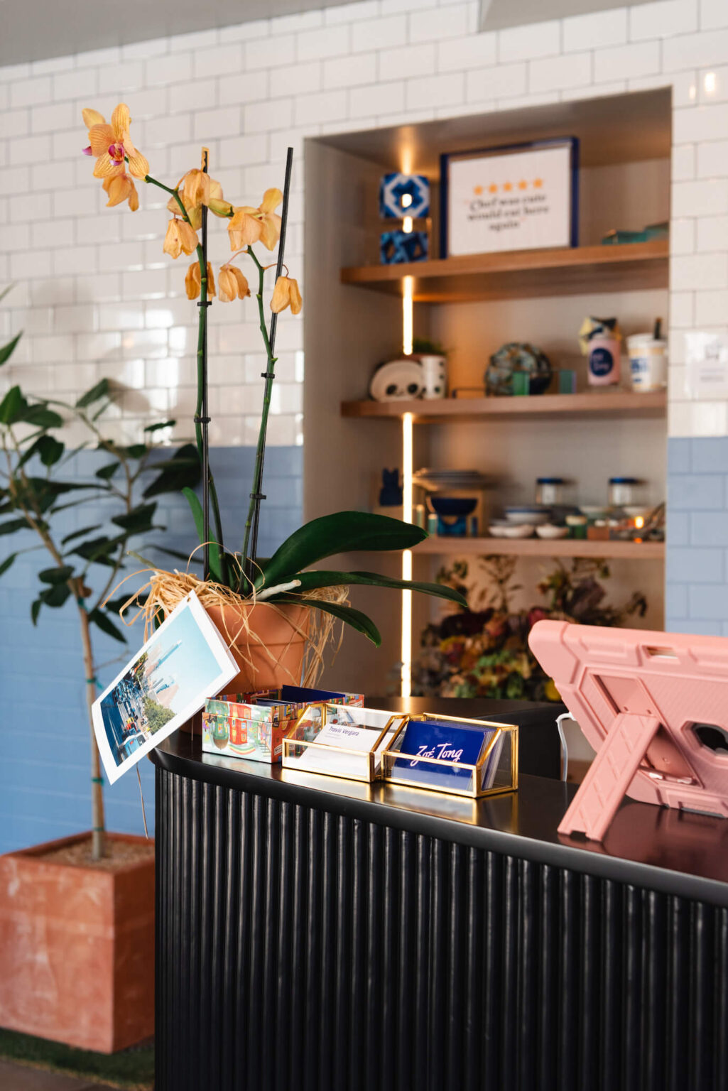 Skelly Build Construction Process in Austin